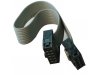 CABLE-IDC10-15cm