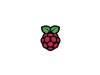 RaspberryPi